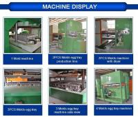 China Egg Tray Mould Pulp Tray Machine With Plc Cabinet 2 Years Guarantee for sale