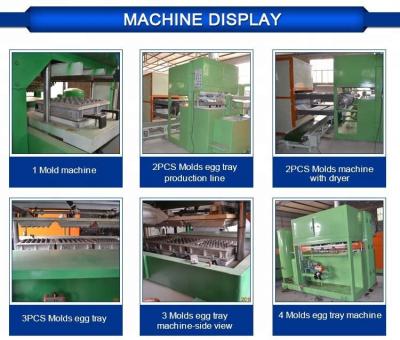 China Egg Tray Mould Pulp Tray Machine With Plc Cabinet 2 Years Guarantee for sale
