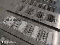 China Popular customized 6 holes egg carton egg tray production line egg box machine for sale