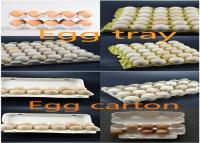 China Recycled Paper Egg Box Egg Tray Machine Price With 3000pcs Pulp Apple Tray Machine for sale