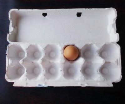 China Good Quality Small Waste Paper Pulp Moulding Egg Tray Making Machine Price for sale