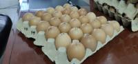 China Waste Paper Pulp 200KW Egg Tray Making Machine for sale