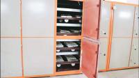 China High Speed Rotary Egg Tray Machine 6000 Big Production Capacity for sale