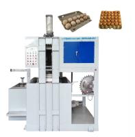 China Automatic Waste Paper Tray Forming Machine Pulp Egg Tray Egg Carton Production Line for sale