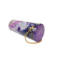 China Anti-Scratch Coating Reusable Gift Box for Dry Foods Display Candy Tin Retro-Chic Tinplate Portable Handle Storage Containers for sale