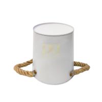China Top Dia170* Bottom Dia165*H128 mm Wholesale Galvanized Ice Bucket Outdoor Plant Pots Custom Logo Designs Sizes Distributor Bulk for sale