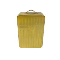 China FDA Elegant Champagne Gold Frosted Pearl Retro Leather Handle Manual Lock Buckle Rectangular Tin Box Metal Printing Packaging for sale