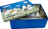 China The Best Design Cute Rectangle Biscuit Cookies Tin Box for sale
