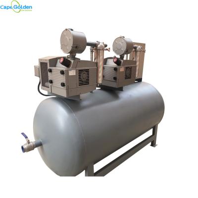 China OEM Laboratory Vacuum Pump 0.02-0.07mpa Medical Vacuum Pump System for sale