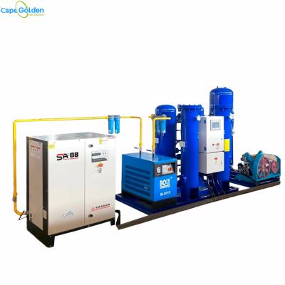 China Food Storing Mobile Nitrogen Gas Generator Compact PSA Nitrogen Gas Plant for sale