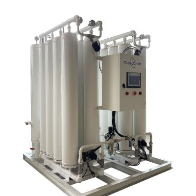 China PSA Oxygen Cylinder Filling Plant 80 Pcs per Day 93-99 Purity CAFS-20 for Small Healthcare for sale