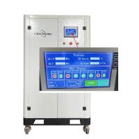 China Medical PSA Oxygen Generator 3Nm3/H 93% Purity for Hospital ICU Ward for sale
