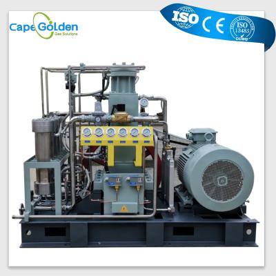 China Cape Golden High Pressure Compressor For Oxygen Concentrator Ce Pass for sale