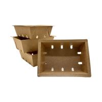 China Factory Direct Sales Paper Tray Household Fruit Tray Berry Fruit Basket Eco-friendly for sale