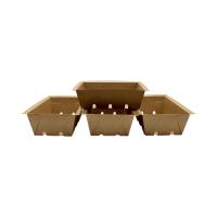 China Eco-friendly Biodegradable Custom logo Printed Take Away Paper Fruit Tray Packing Food Paper Box for sale