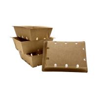 China Kraft Paper Tray Box With Holes Recycled Fruits Grocery Display Tray for sale