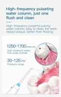 China Teeth Whitening Countertop Water Flosser 600ml Electric Jet for sale