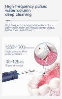 China 600ml Electric Jet Oral Hygiene Water Flosser 10+ Working Mode for sale