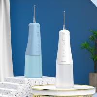China Cordless Water Flosser 300ml Tank IPX7 Oral Irrigator Electric Dental Flosser for sale