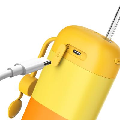 China Nicefeel FC5170 Cordless Dental Water Flosser 220ml IPX7 Oral Irrigator for sale