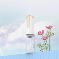 China Cordless Portable Water Flosser Oral Cleaner IPX7 300ml Electric Jet Dental Irrigator for sale