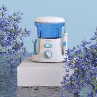 China 600ml Adjustable ABS Water Dental Flosser 100-240V Family Oral Spa White Blue for sale