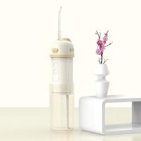 China IPX7 Portable Mini Water Flosser Teeth Cleaner Cordless Type C Rechargeable 300ml for sale