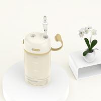 China IPX7 Portable Mini Water Flosser Teeth Cleaner Cordless Type C Rechargeable 300ml for sale
