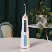 China Ozone Oral Irrigator 300ml Water Tank High Pressure Portable Therapeutic Water Flosser FC3810 for sale