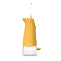 China DIY Mode Water Flosser 300ml Cordless Oral Irrigator 1400-1700 Times/min IPX7 for sale