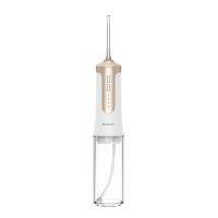 China Transform Your Dental Routine with Diy mode water flosser - 300ml Water Tank Capacity for sale