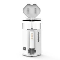 China Electric Dental Water Flosser 600ml Tank Oral Irrigator 100-240V Oral Hygiene Care for sale