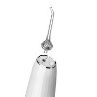 China 300ml One Button Detachable Portable Oral Irrigator for sale