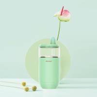 China Portable Nasal Irrigator 40ml Water Mist Spray IPX7 Waterproof Adult Daily Use for sale