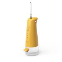 China Electric Charging Family Oral Irrigator Child Cute Cartoon Water Flosser 110ml IPX7 for sale