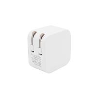 China US EU AU UK JP Plug Fast USB Chargers Dual Socket Smart IC Chip for sale
