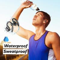China Waterproof Wireless Bluetooth Earphone Dual Mic TWS Noise Cancelling 400mAh for sale