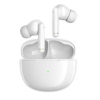 China BT5.1 Wireless Bluetooth Earphone ANC Noise Canceling Earbuds 4Mic for sale
