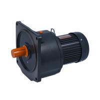 China 200W 0.25HP Electric Motor Gear Box 1400rpm Drawing Customization for sale