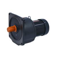 China 200W 0.25HP Electric Motor Gearbox CV22-200 CH CV Gear Reduction Motor for sale