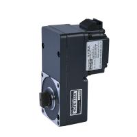 China G4BLD 4GFS130K Custom Gear Motor 24V 60W 1500RPM swing gate motor for sale