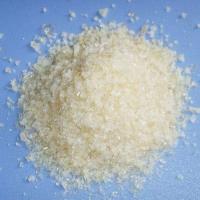 China Gelatin Production Line Food Processing Equipments for sale