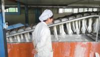 China Disposable Medical Latex Gloves Production Line 380V for sale