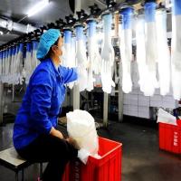 China 220V 380V Latex Gloves Production Line 5.7x1.8x1.5m for sale