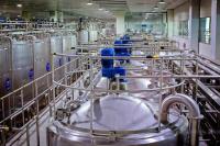 China ZX Company Condense Milk Production Line/ Sweetened Condensed Milk Processing Machine for sale
