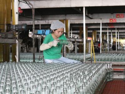 China Optimize Your Production Process with Glass Bottle Production Line for sale