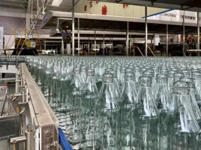 China Flexible Glass Bottle Blowing Machine for Different Customer Requirements for sale