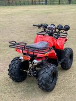 China Atv Four Wheel Drive Beach Buggy 4X4 1000cc for sale