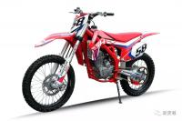 China 4 stroke powerful engine racing motorcycle Dirt bike 250cc for sale