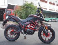 China Gasoline Powered Racing Bike Motorcycle 250cc 300cc TEKKEN Motorcycle for sale